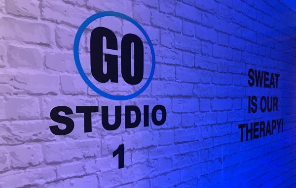 GO FIT | Go Gym Limerick